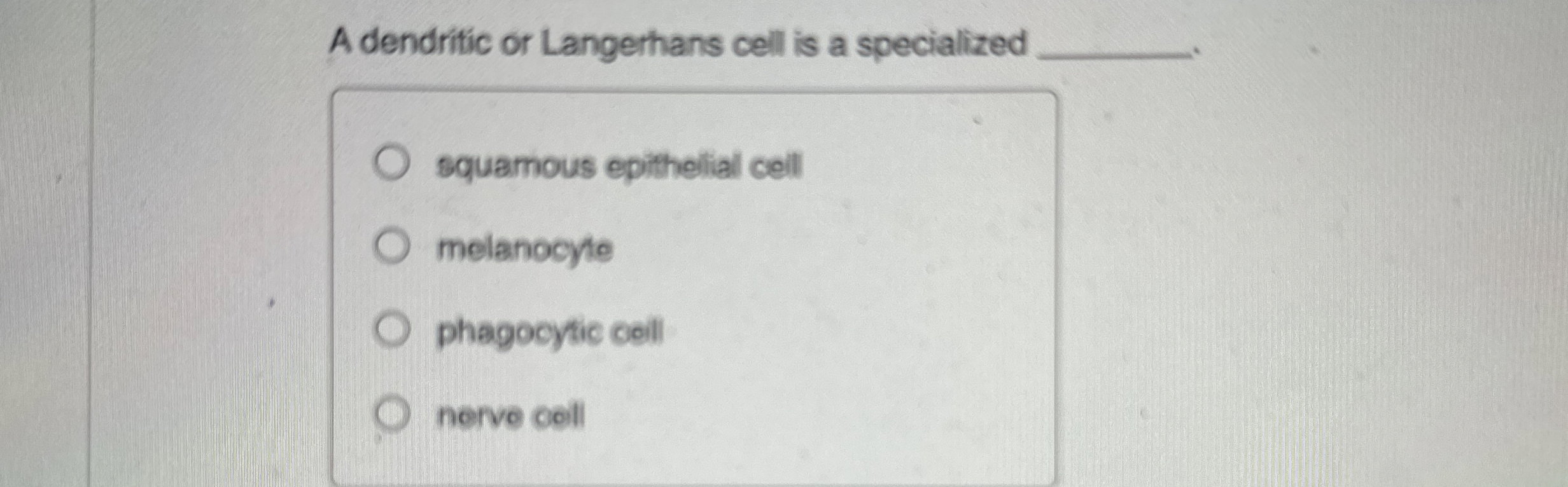 Solved A dendritic or Langerhans cell is a | Chegg.com