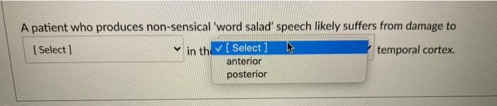 Solved A patient who produces non-sensical word salad' | Chegg.com