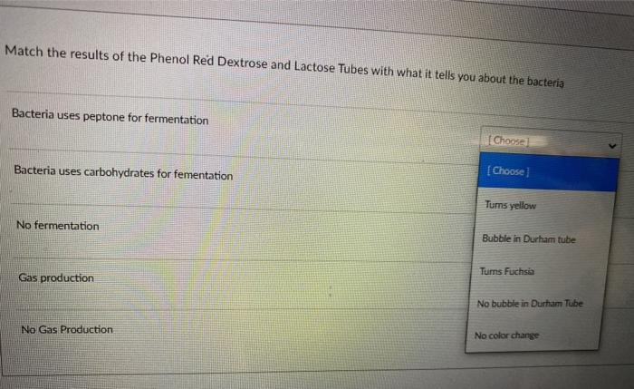 Solved What is a Durham tube? O Broth with an inverted tube | Chegg.com