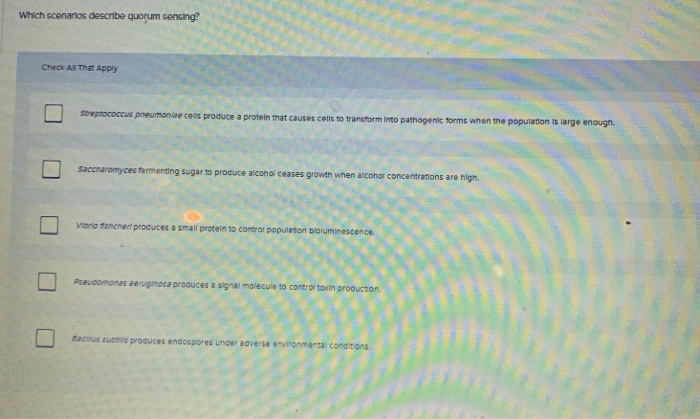 Solved Which scenarios describe quorum sensing? Check All | Chegg.com