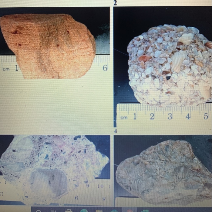 Sedimentary Rocks Worksheet Assess each of your | Chegg.com