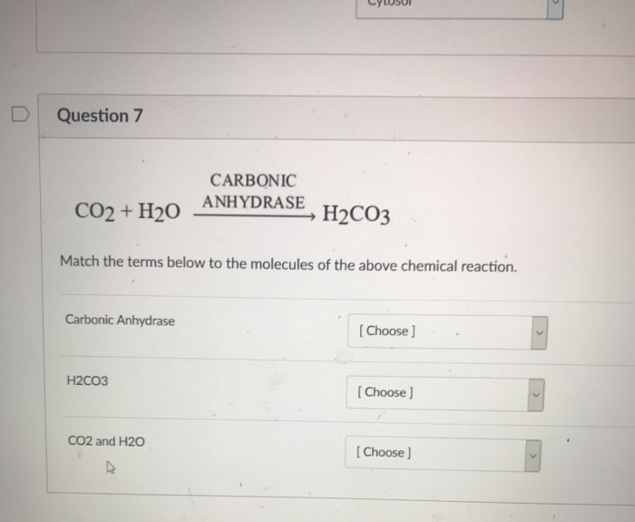 Solved Question 7 CARBONIC ANHYDRASE CO2 + H20 H2CO3 Match | Chegg.com