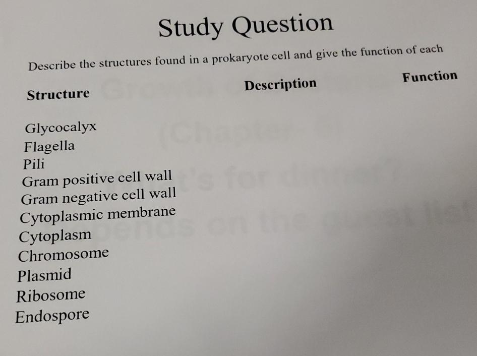 Solved Study QuestionDescribe the structures found in a | Chegg.com