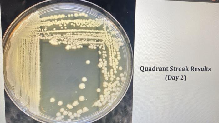 Solved Quadrant Streak Results (Day 2) A В. Separation | Chegg.com