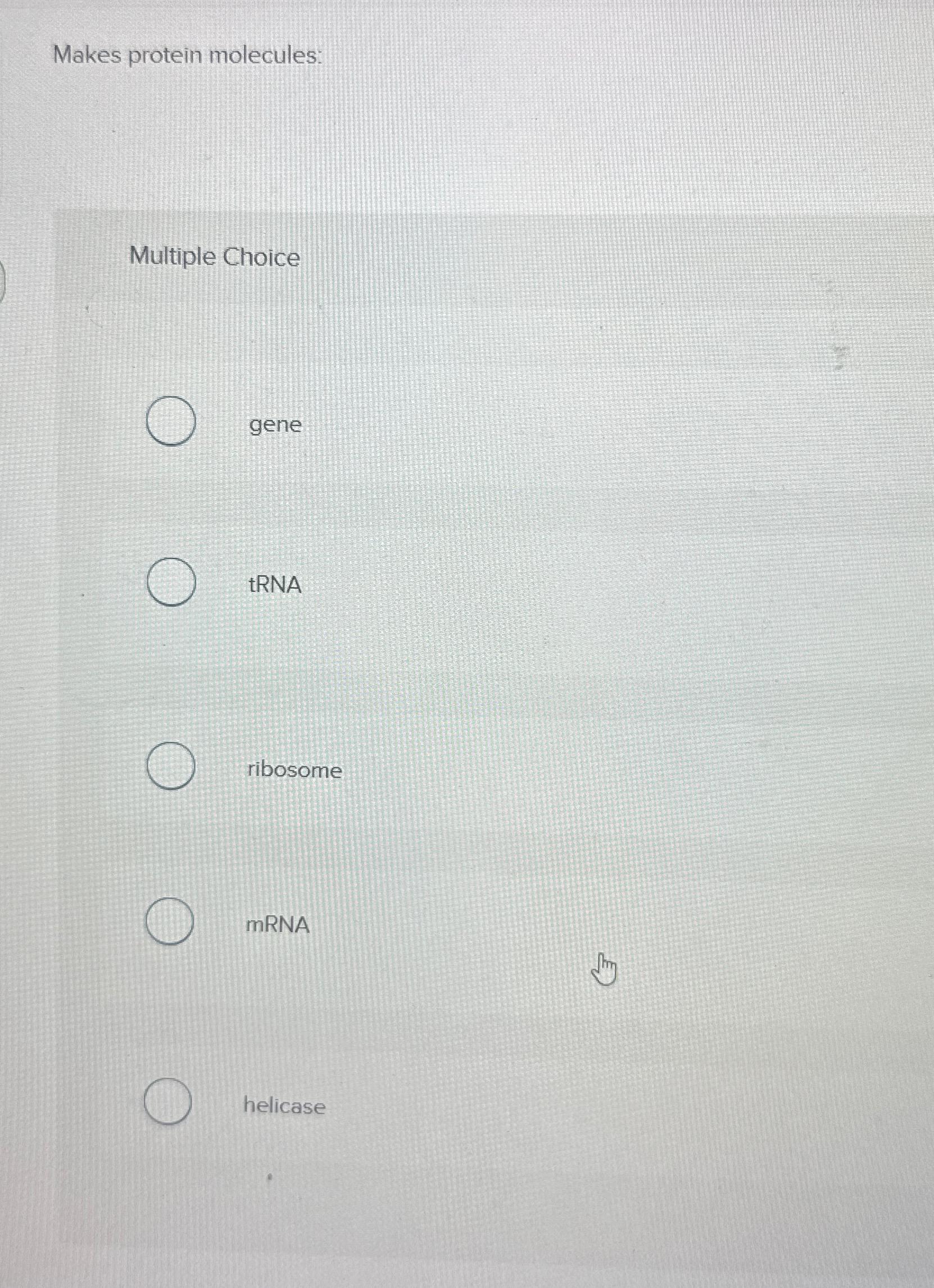 Solved Makes protein molecules:Multiple | Chegg.com