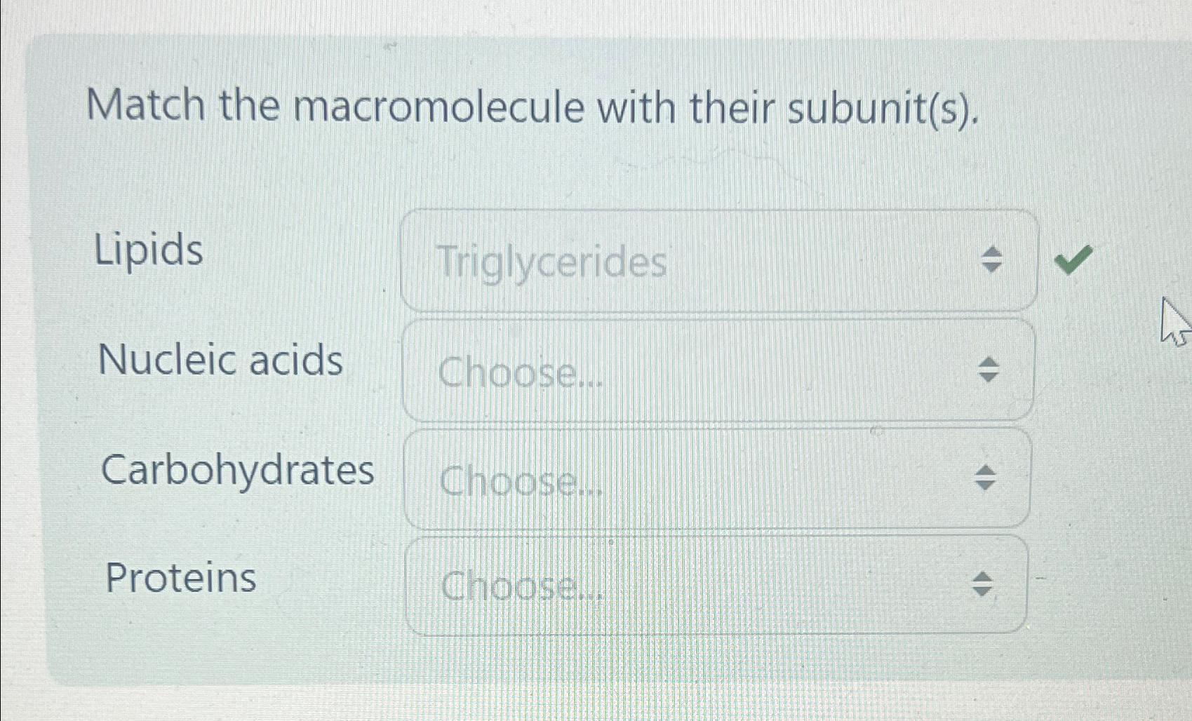Solved Match the macromolecule with their | Chegg.com