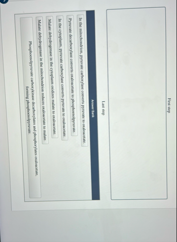 Solved First stepLast stepAnswer RankIn the mitochondrion, | Chegg.com