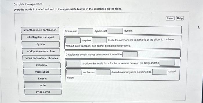 Solved Complete the explanation. Drag the words in the left | Chegg.com