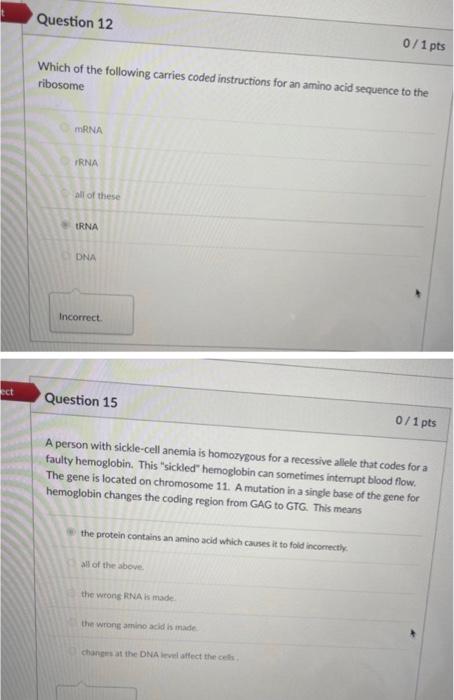 Solved Please answer these multiple choice questions. only | Chegg.com