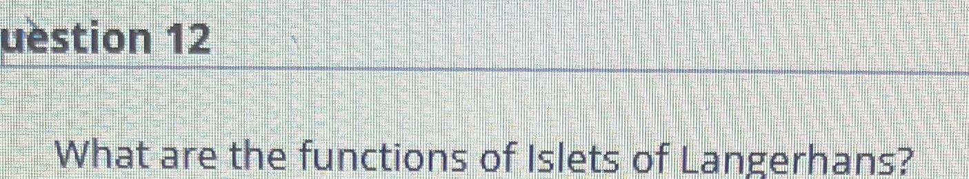 Solved What are the functions of Islets of Langerhans? | Chegg.com
