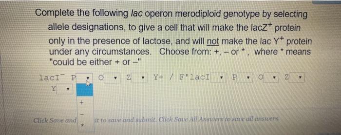 Solved Complete the following lac operon merodiploid | Chegg.com