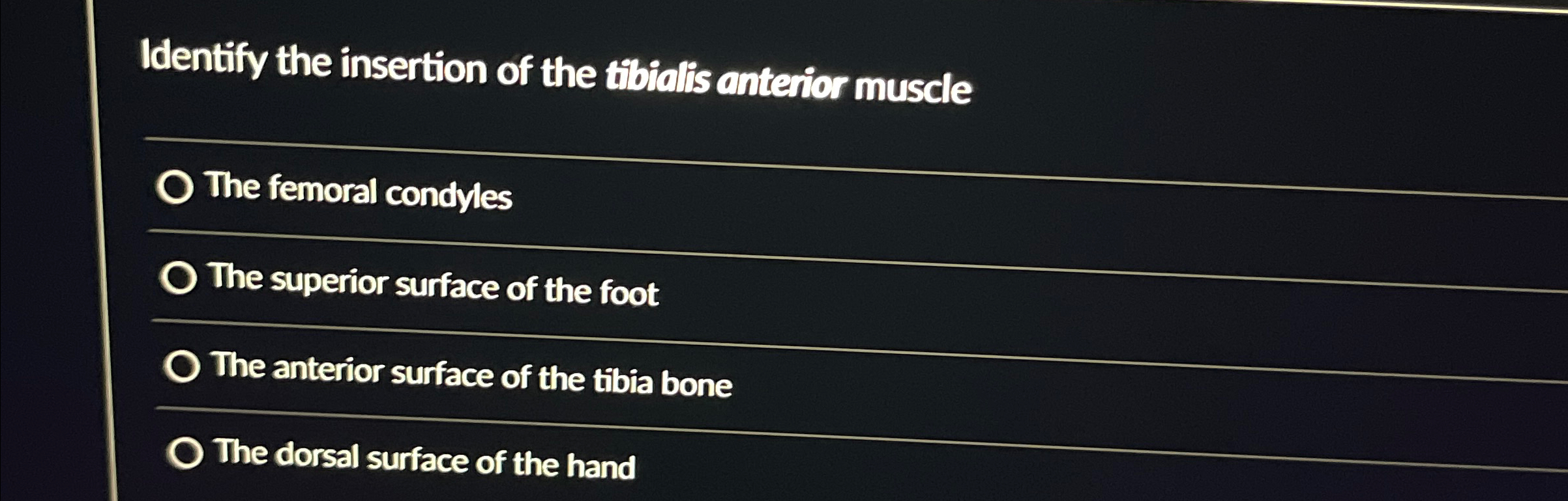 Solved Identify the insertion of the tibialis anterior | Chegg.com