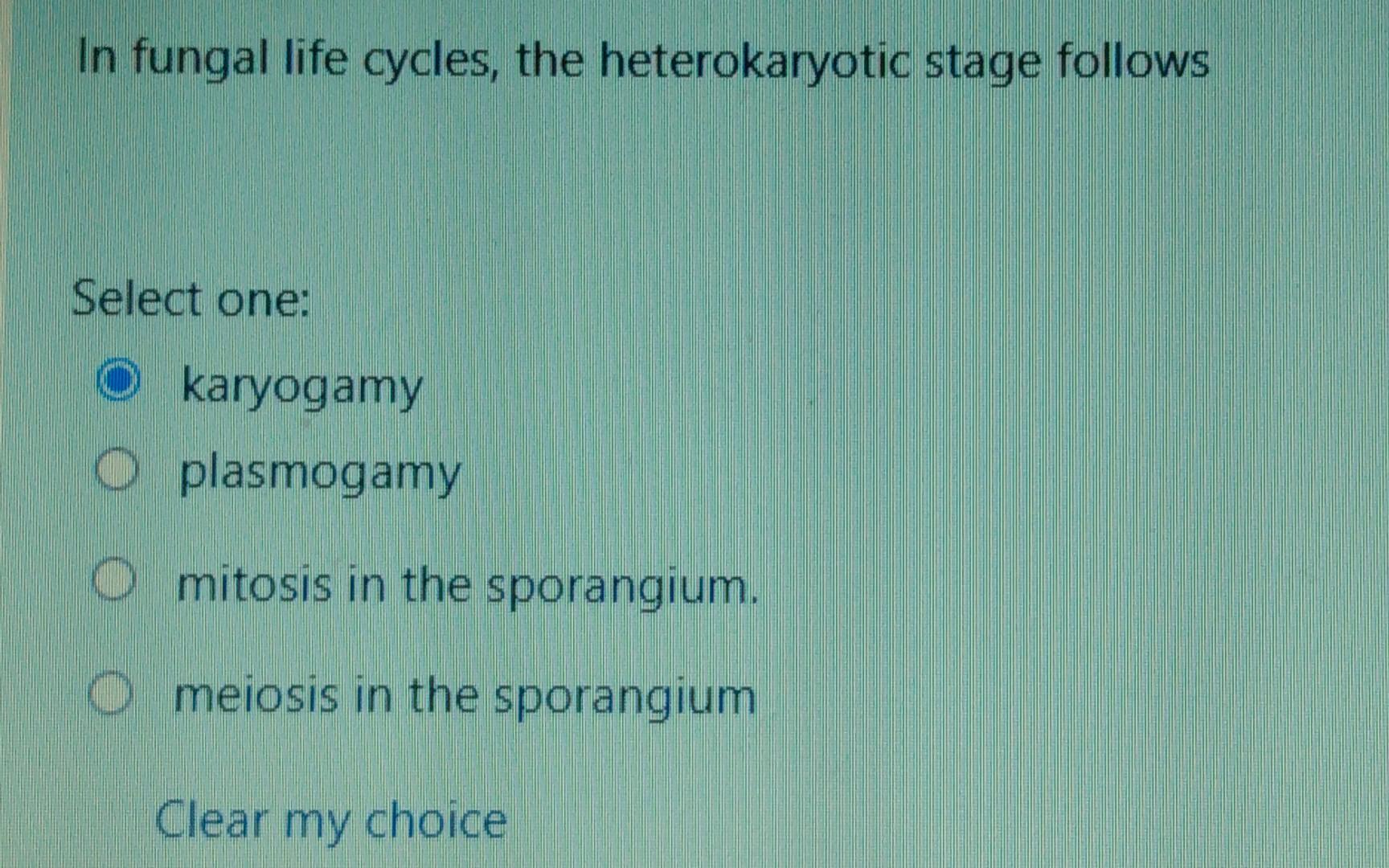 Solved In fungal life cycles, the heterokaryotic stage | Chegg.com