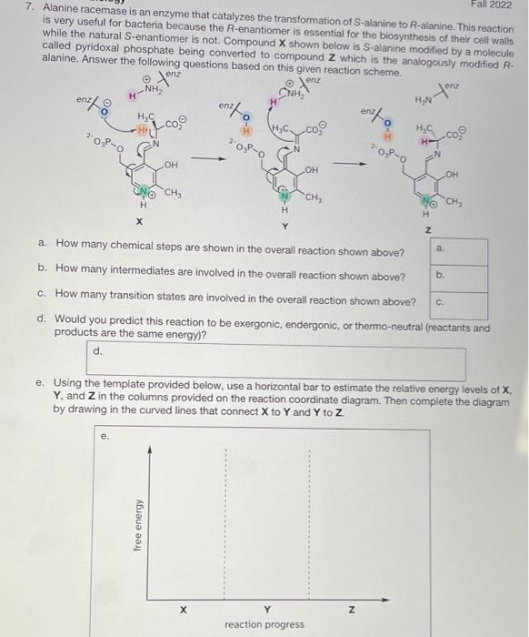 Solved 7. Alanine racemase is an enzyme that catalyzes the | Chegg.com