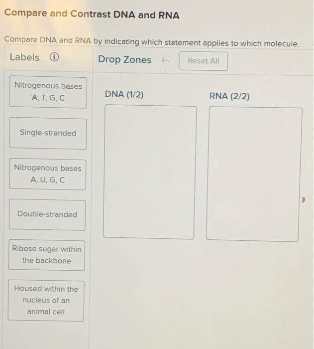 Compare and Contrast DNA and RNASaturated Fatty Acids | Chegg.com