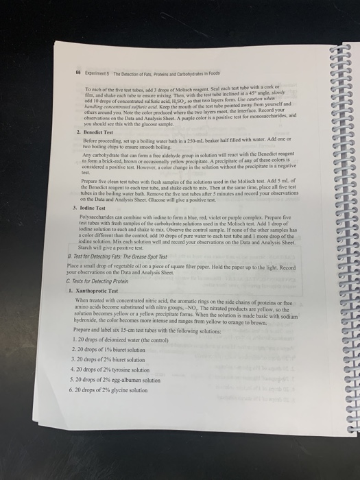 Solved Name TA Laboratory Date Section - Experiment 5-The | Chegg.com