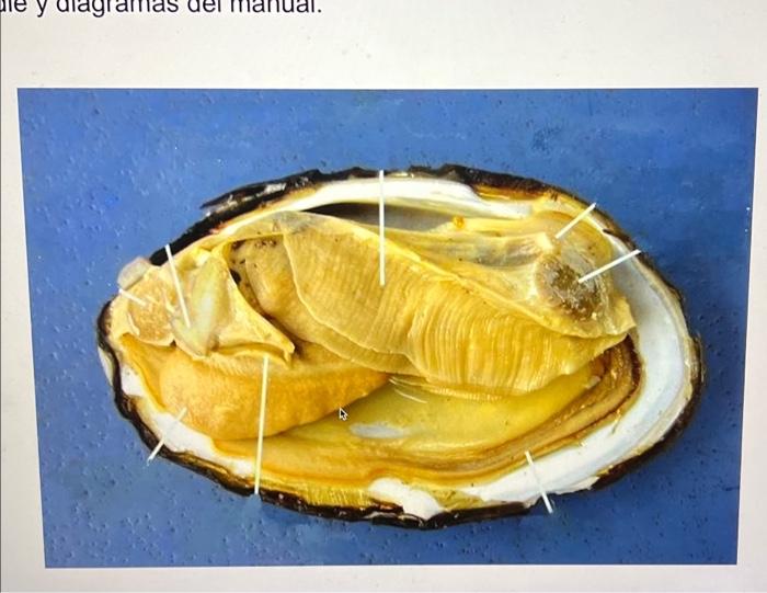 Solved hello can you label the first picture? It has the | Chegg.com