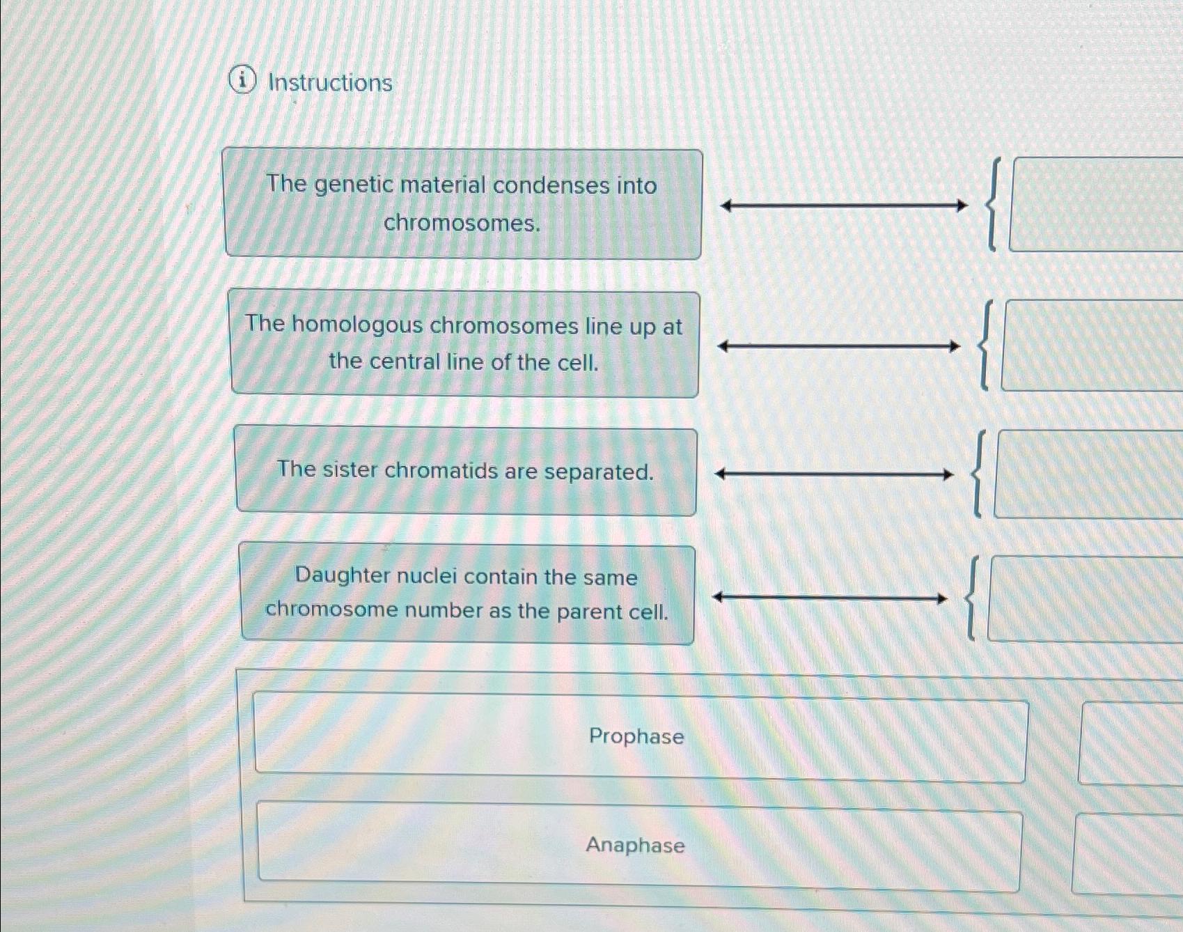 Solved (i) ﻿InstructionsThe genetic material condenses into | Chegg.com