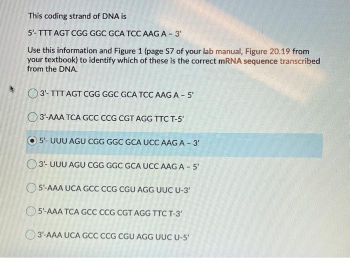 Solved This coding strand of DNA is 5- TTT AGT CGG GGC GCA | Chegg.com
