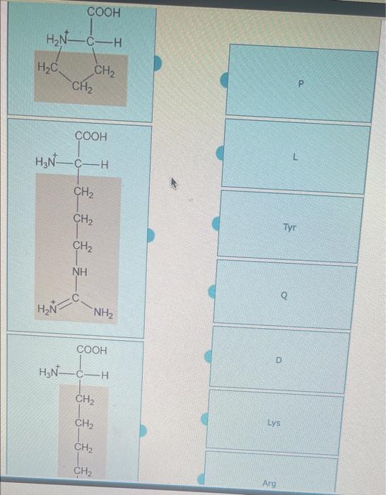 Solved COOH H₂N-C-H H3C CH₂ CH CH3 GOOH H₂N-C-H CH₂ OH COOH | Chegg.com
