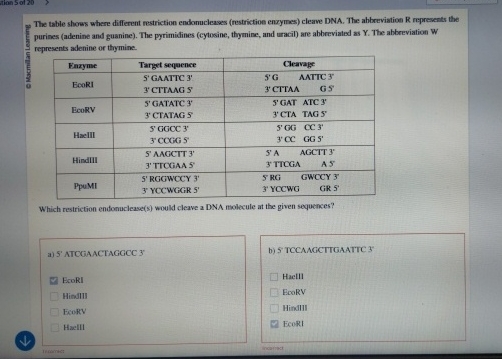 Solved The table shows where different restriction | Chegg.com