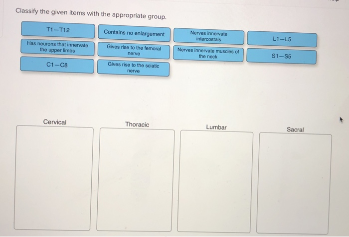 Solved Classify the given items with the appropriate group. | Chegg.com