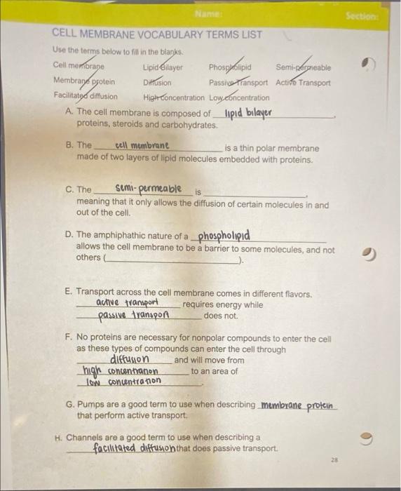 Solved Name Section CELL MEMBRANE VOCABULARY TERMS LIST Use | Chegg.com