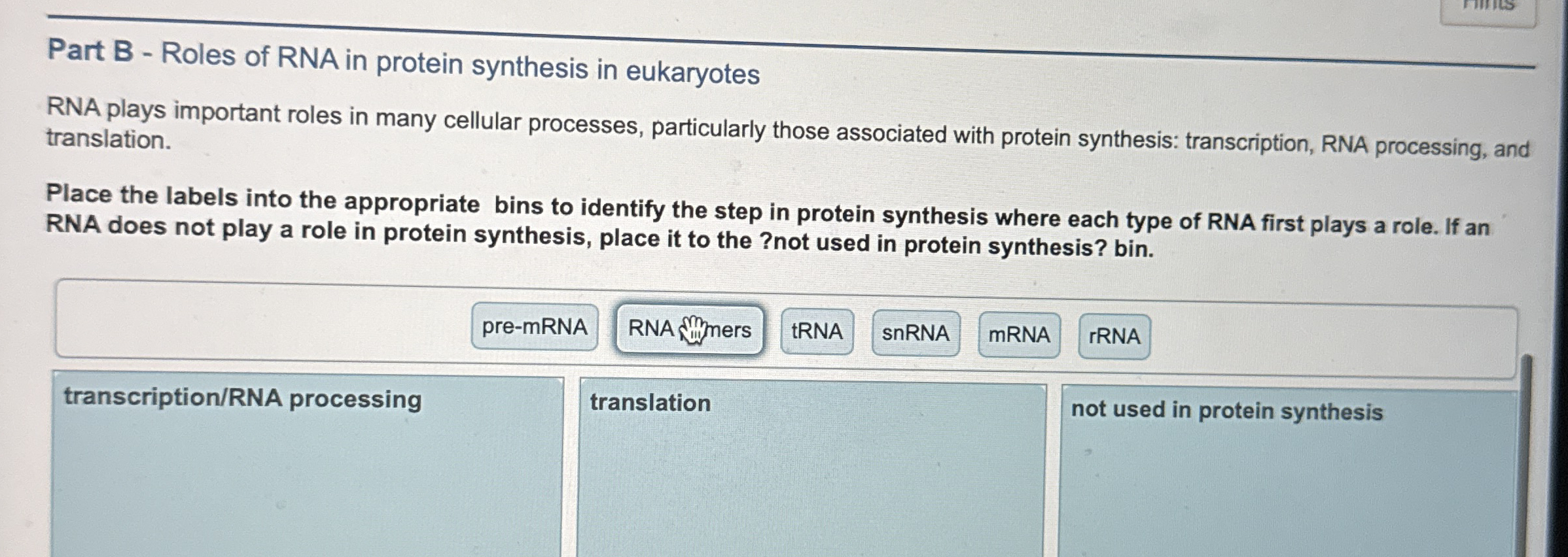 Solved Part B - ﻿Roles of RNA in protein synthesis in | Chegg.com