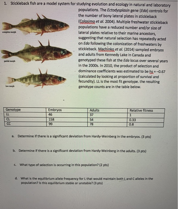 Solved complete morph 1. Stickleback fish are a model system | Chegg.com