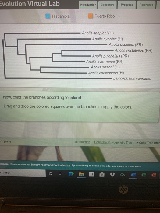 Evolution Virtual Lab Introduction Educators Progress | Chegg.com