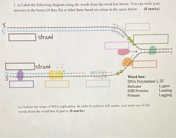 Solved 1. a) Label the following diagram using the words | Chegg.com