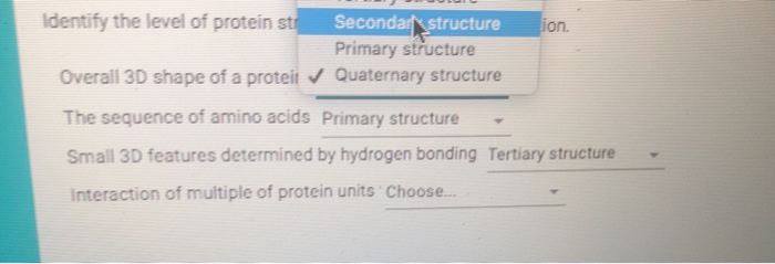 Solved Identify the level of protein str Secondar structure | Chegg.com