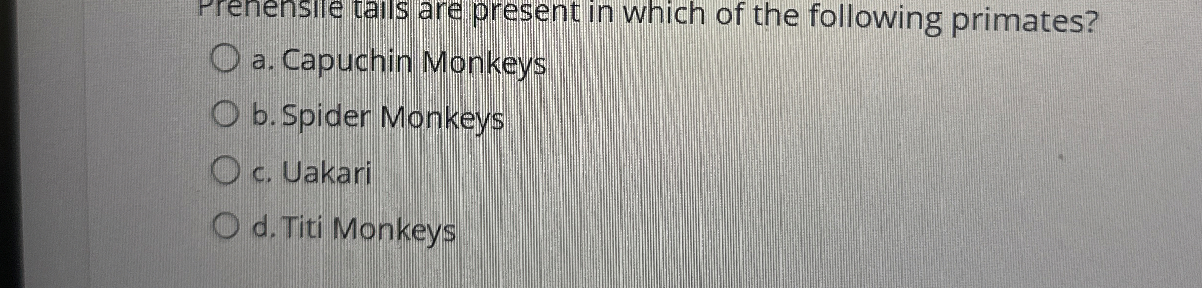 Solved Prenensile talls are present in which of the | Chegg.com