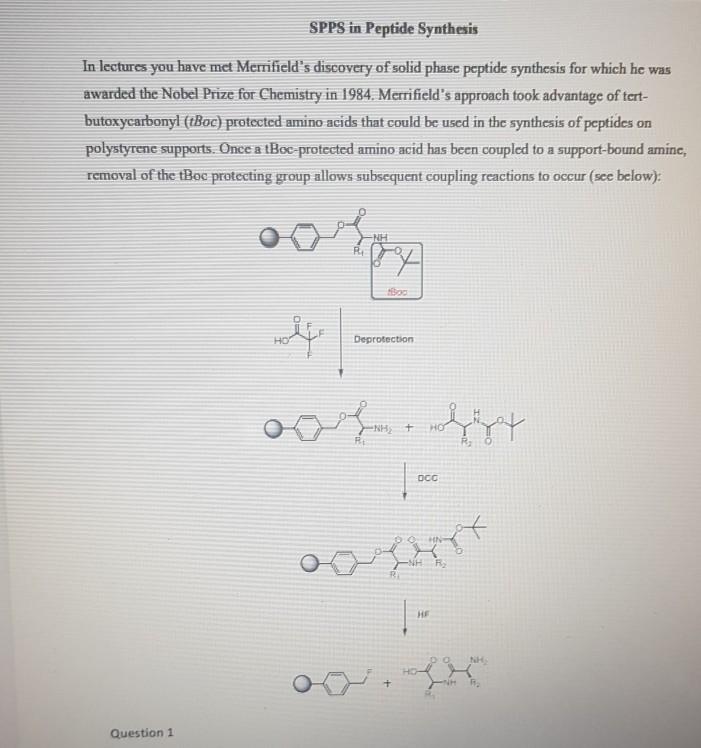 SPPS in Peptide Synthesis In lectures you have met | Chegg.com