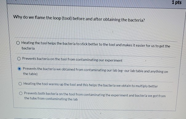 Solved 1 pts Why do we flame the loop(tool) before and after | Chegg.com