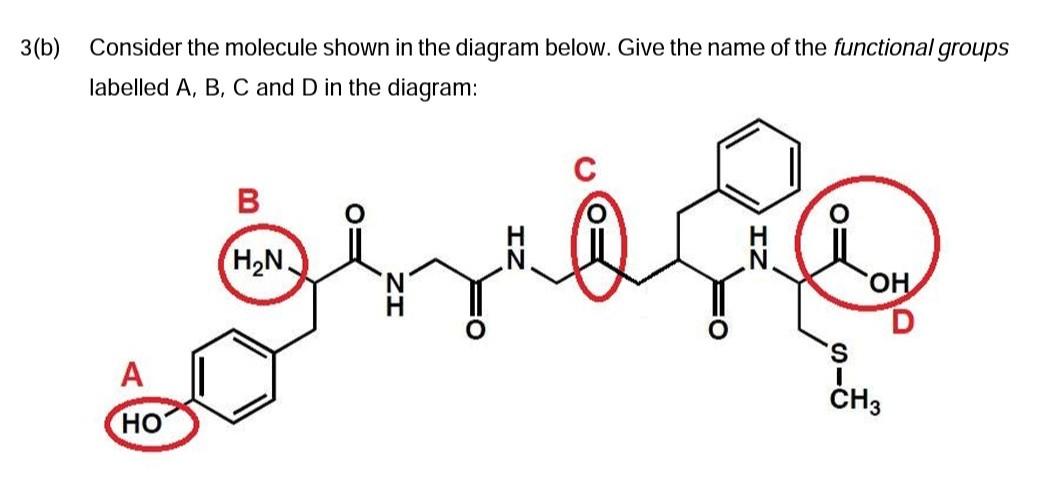 Solved 3(b) Consider the molecule shown in the diagram | Chegg.com