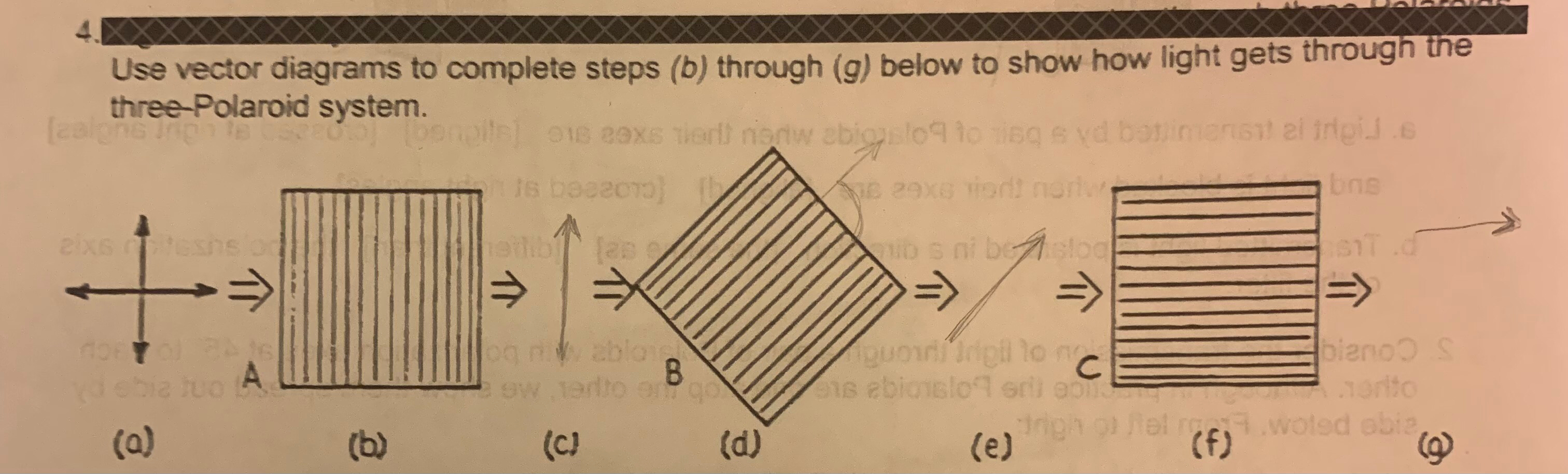 Solved Use vector diagrams to complete steps (b) ﻿through | Chegg.com