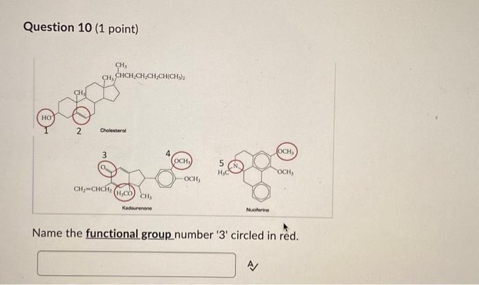 Solved Question 10 ( 1 point) Name the functional group | Chegg.com