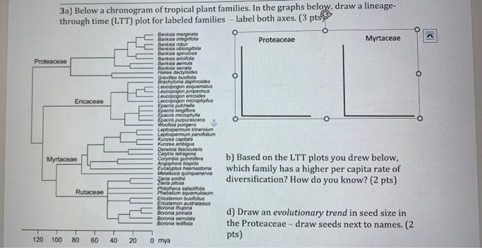 3a) Below a chronogram of tropical plant families. In | Chegg.com