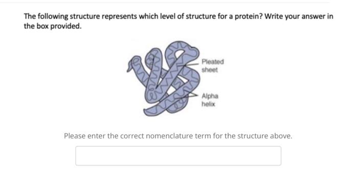 Solved The following structure represents which level of | Chegg.com