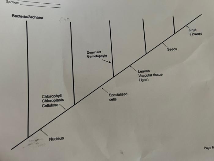 Solved Homework: Plants (5 pts.) Work individually. Using | Chegg.com