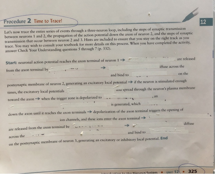 Solved Procedure 2 Time to Trace! 12 Let's now trace the | Chegg.com
