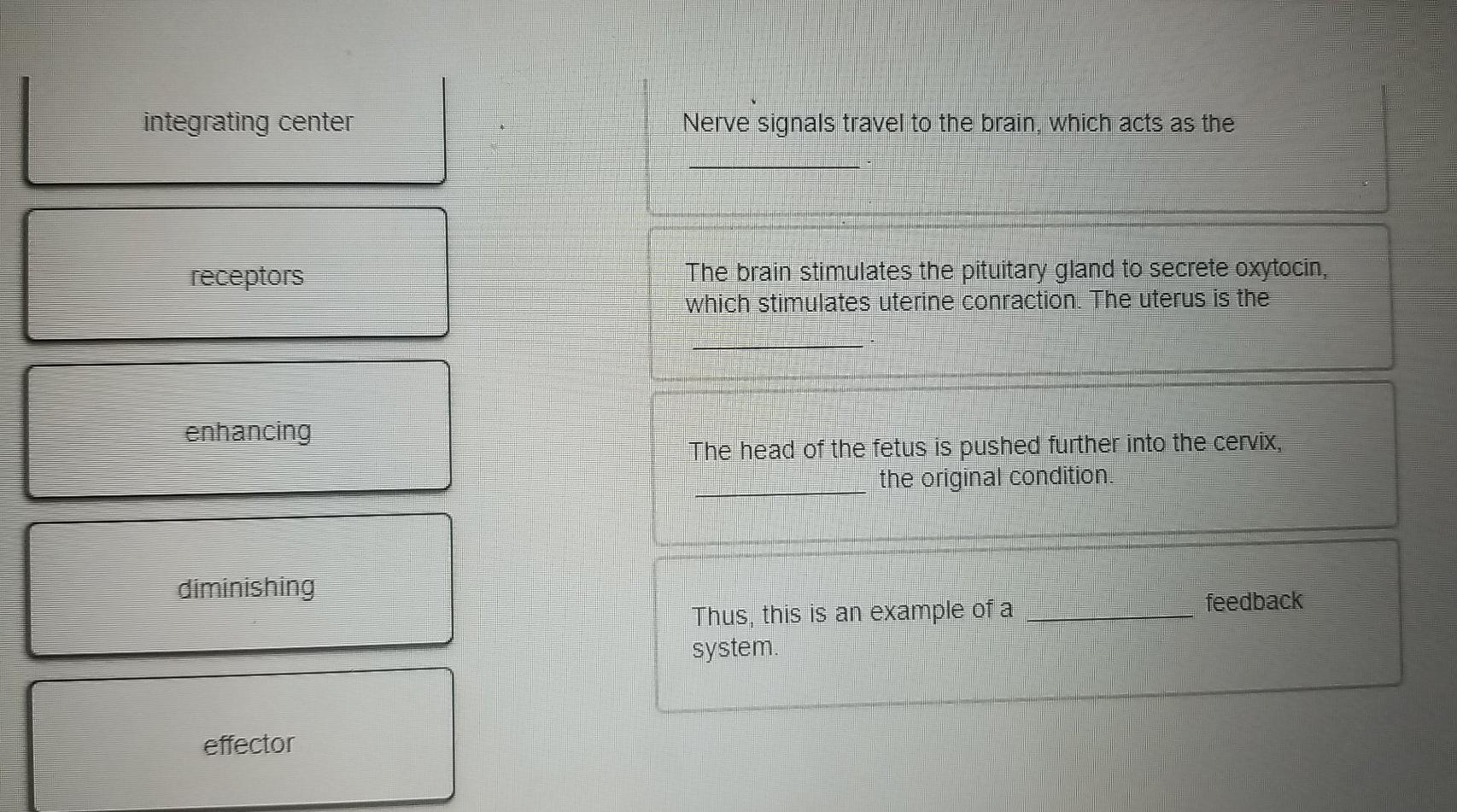 Solved Complete each statement below to correctly describe | Chegg.com
