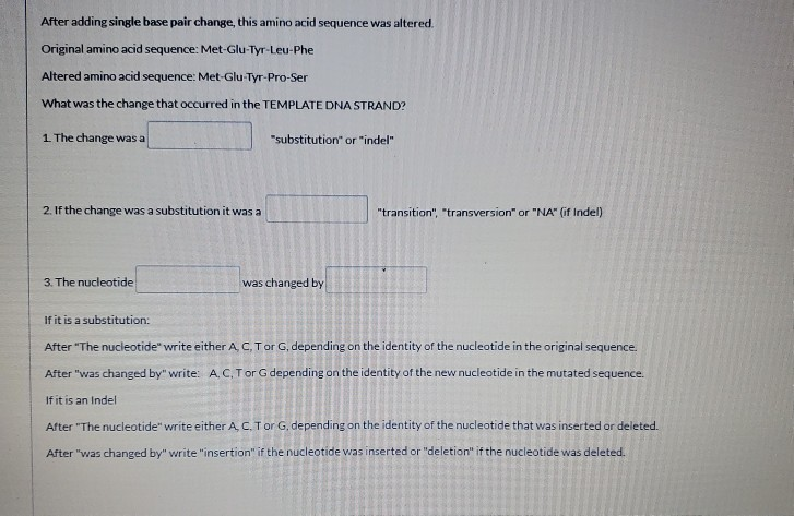 Solved After adding single base pair change, this amino acid | Chegg.com