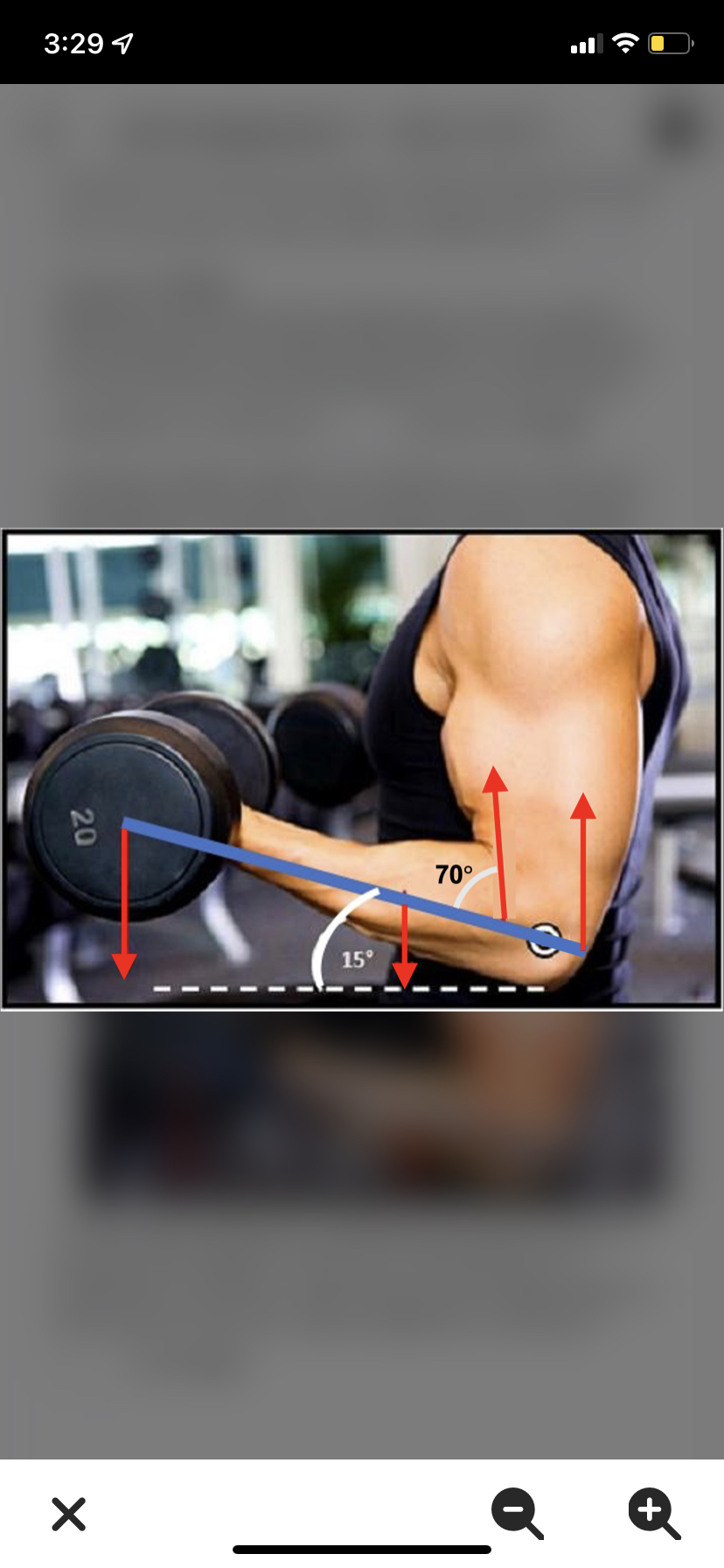 The following figure represents a bicep curl | Chegg.com