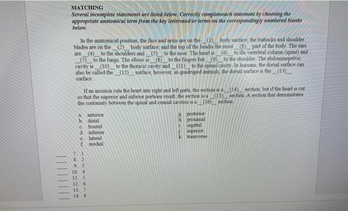 Solved MATCHING Several incomplete statements are listed | Chegg.com