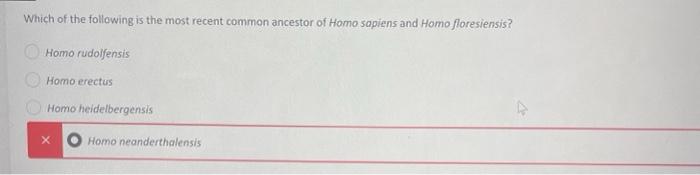Solved What did finding Ardipithecus ramidus ("Ardi") tell | Chegg.com