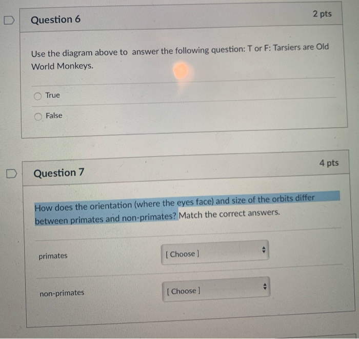 Solved Prosimians Tree shrews New World Monkeys Cebids Old | Chegg.com