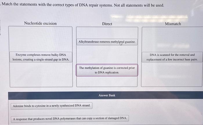 Solved Match the statements with the correct types of DNA | Chegg.com