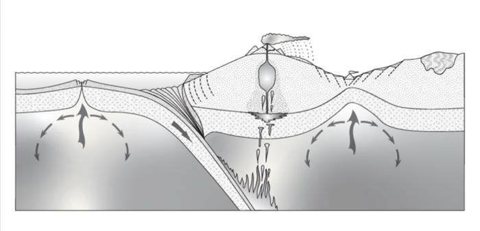Solved Annotate the cross section image below using | Chegg.com